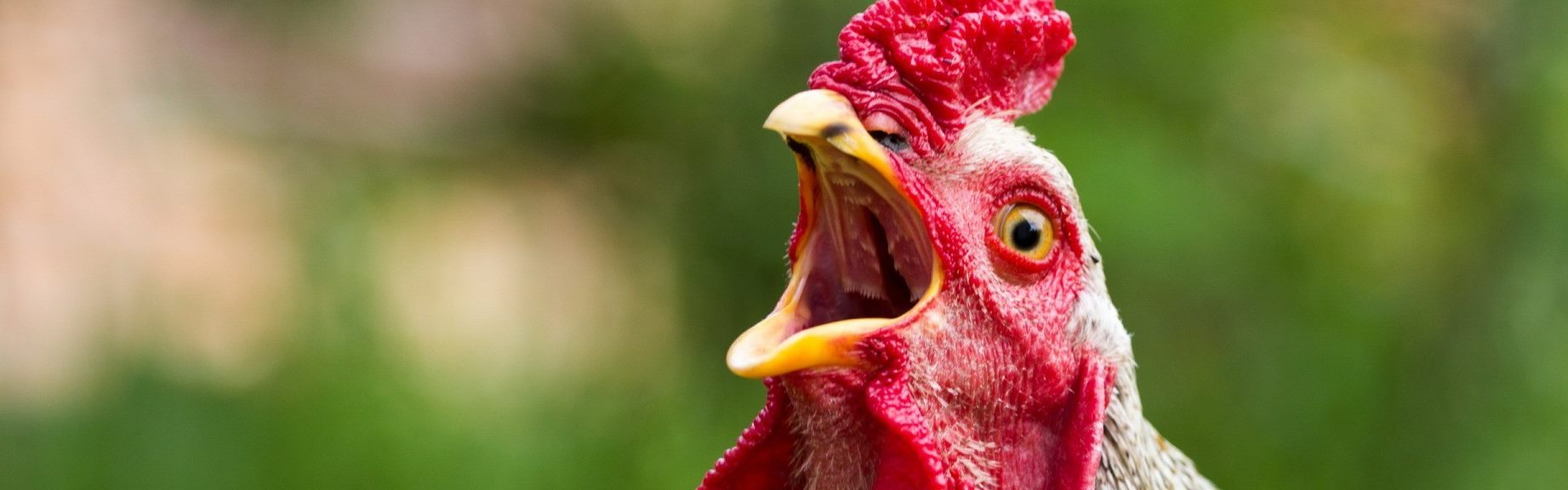 What Happens To You If You Eat 3 Eggs A Day? – Life'd