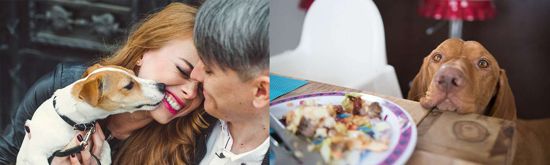 Have You Made These 3 Classic “Dog Owner” Mistakes? Here’s 7 Ways To ...